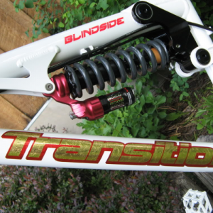 Specialty Gold Leaf Lettering & Chrome Vinyl Lettering